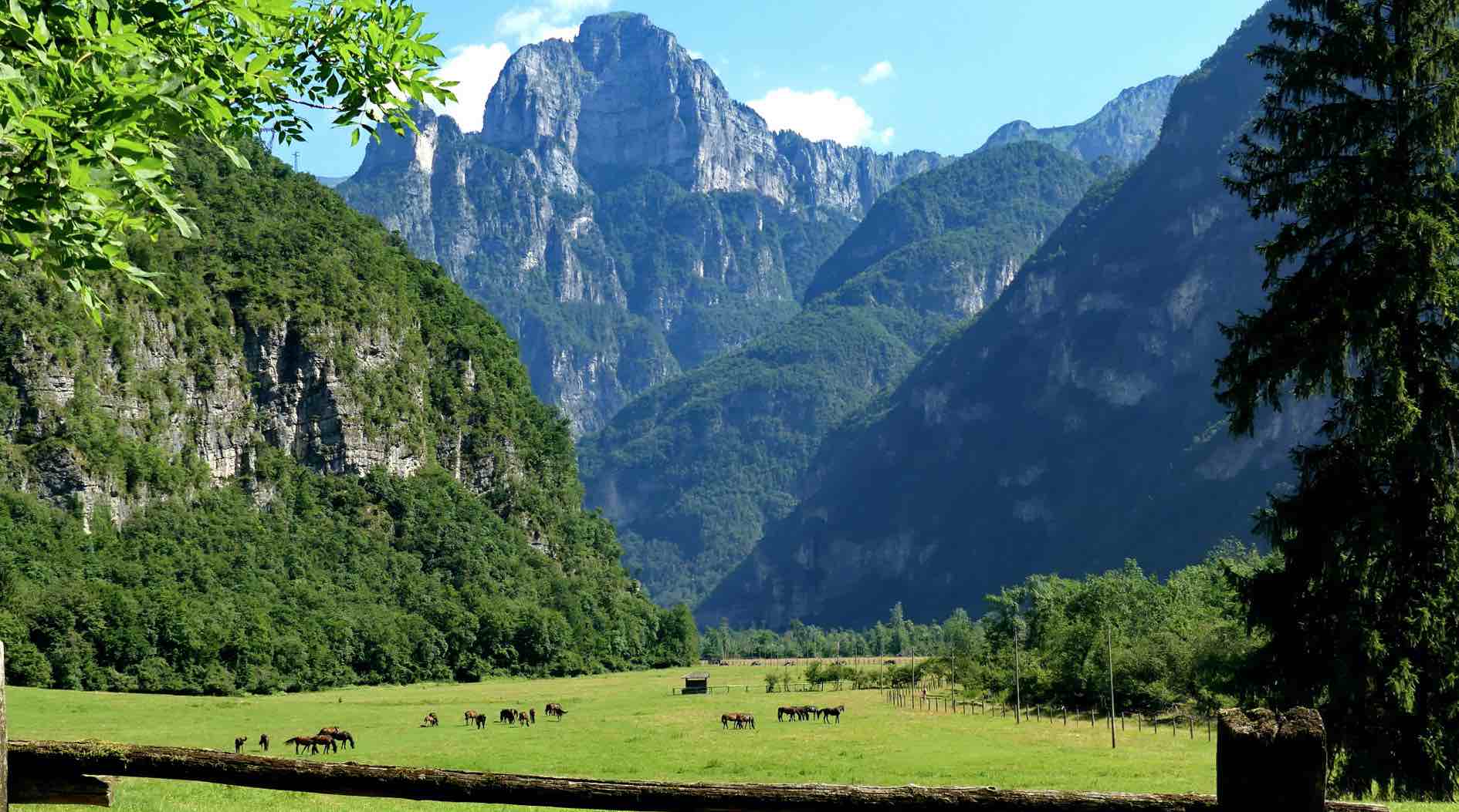 “Camminaturalmente”: alla scoperta dei prati di Salet - News In Quota