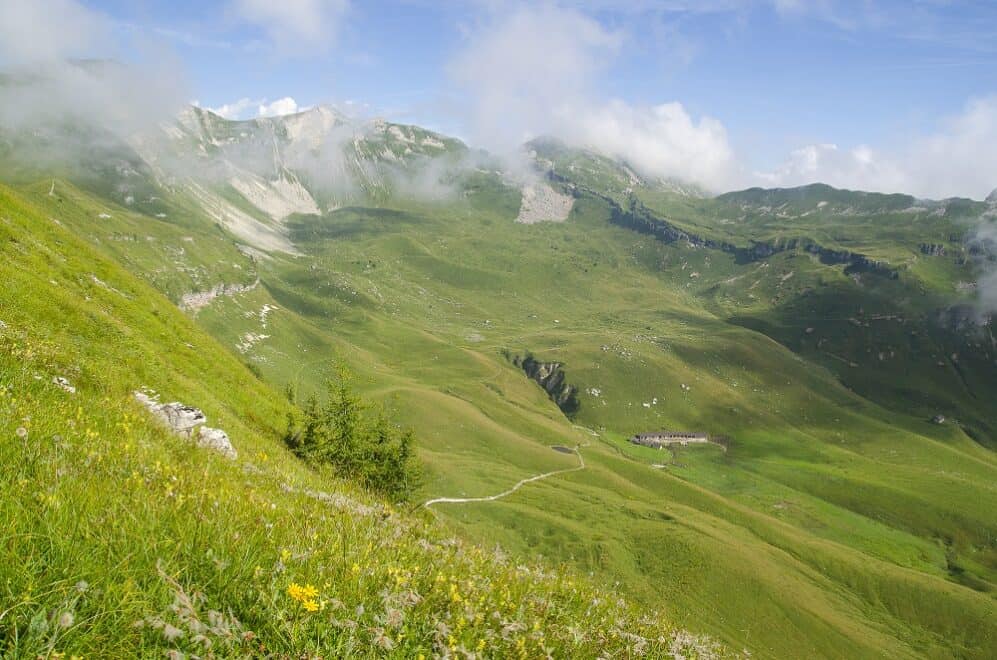 Scoperta una nuova specie di farfalla, battezzata con il nome del ...