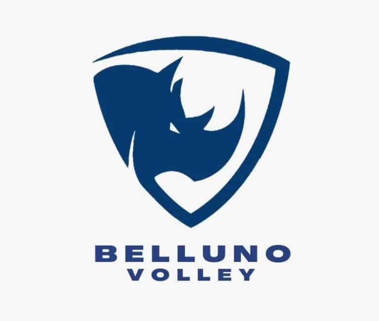Nasce l’associazione per sostenere il “nuovo” Belluno Volley - News In ...